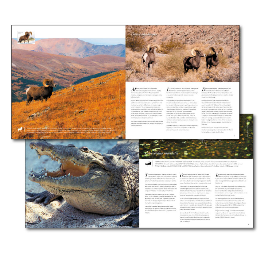 Collection Folders Archives - UN Stamps